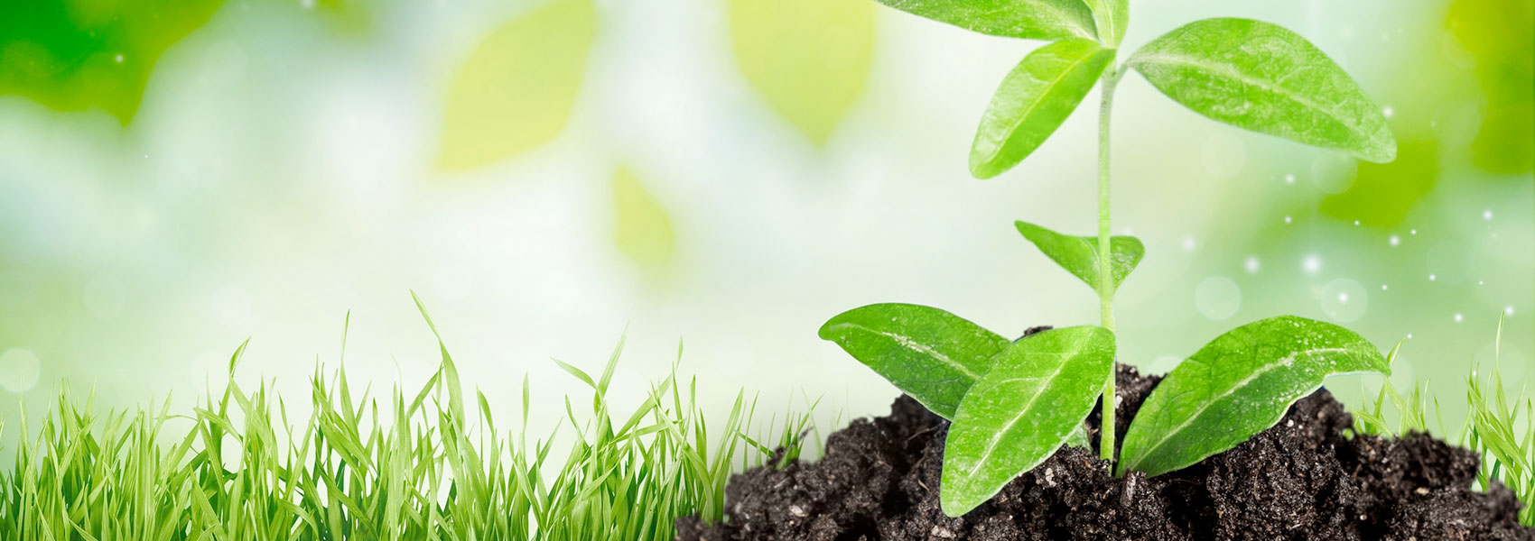 TÜV Rheinland Green Product Mark Awarded with GENICES Certificate