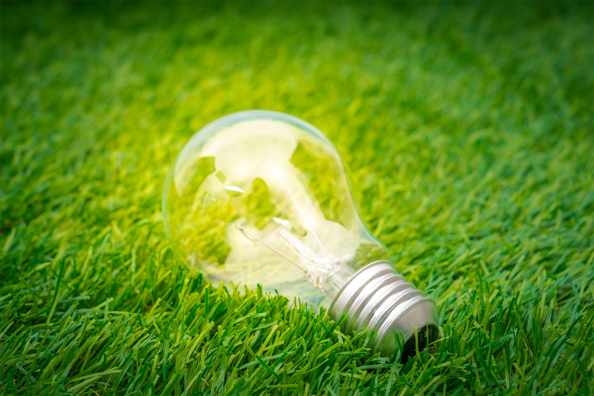 Green Product Mark Now Available in ITC Standards Map